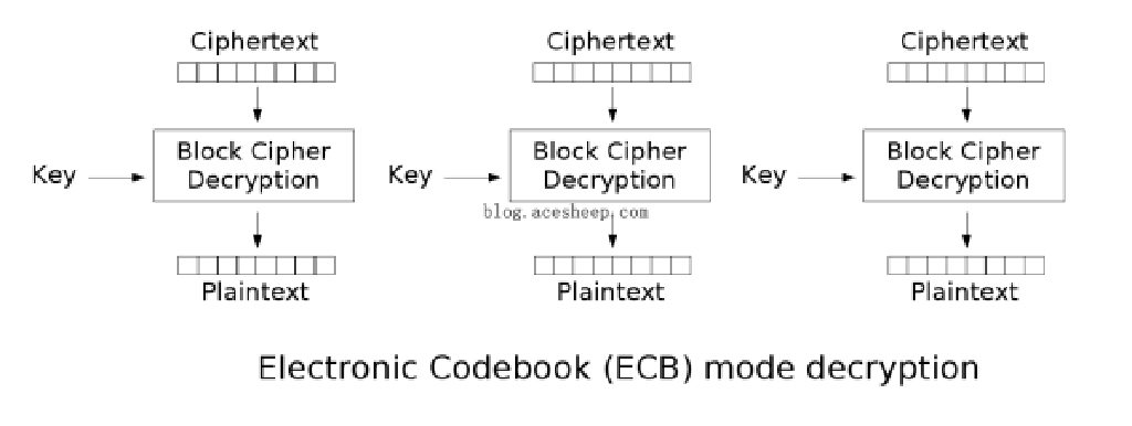 密码学 Crypto AES 块加密 - AceSheep